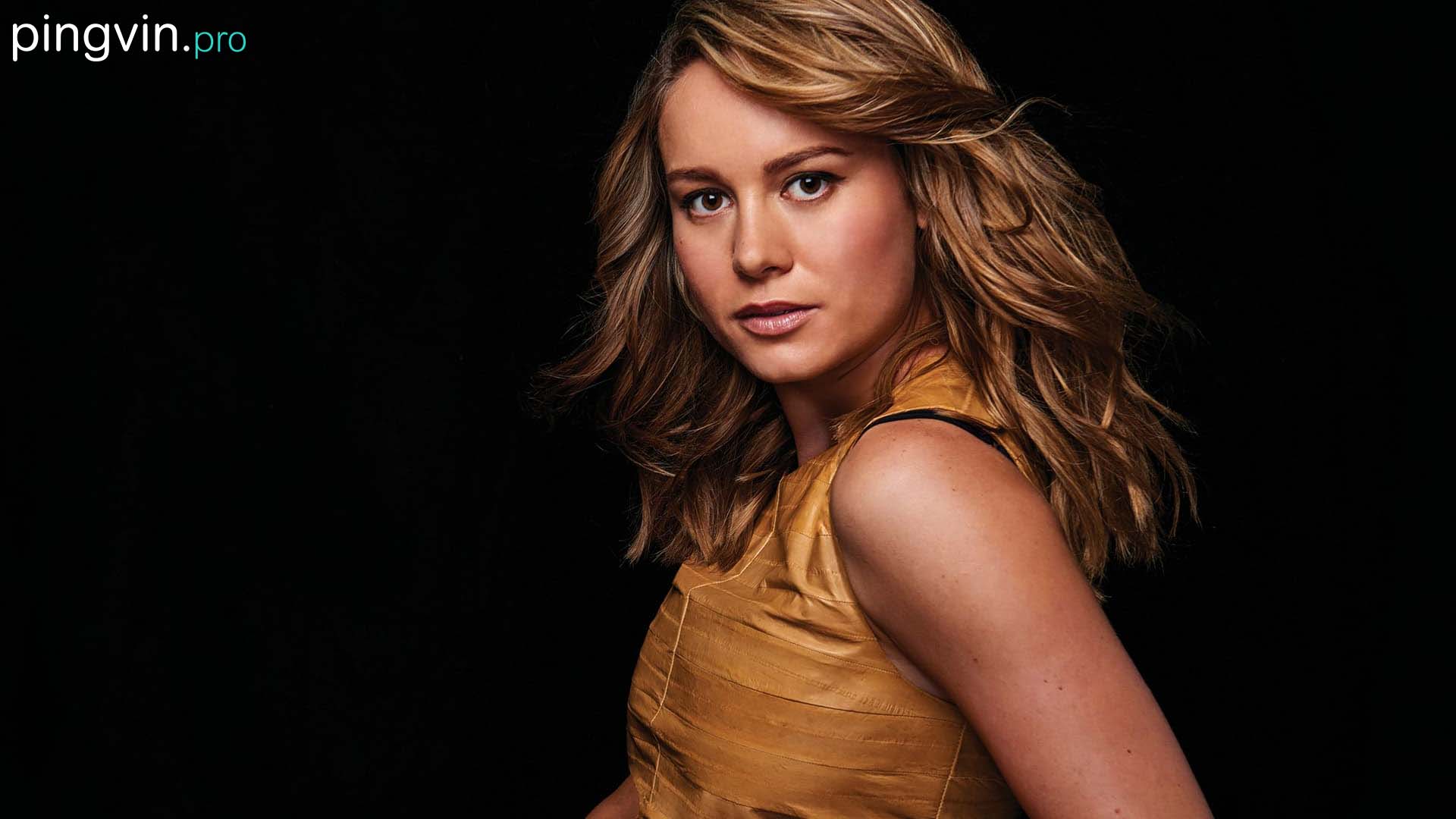 Брі Ларсон справжній пілот - Pingvin.Pro